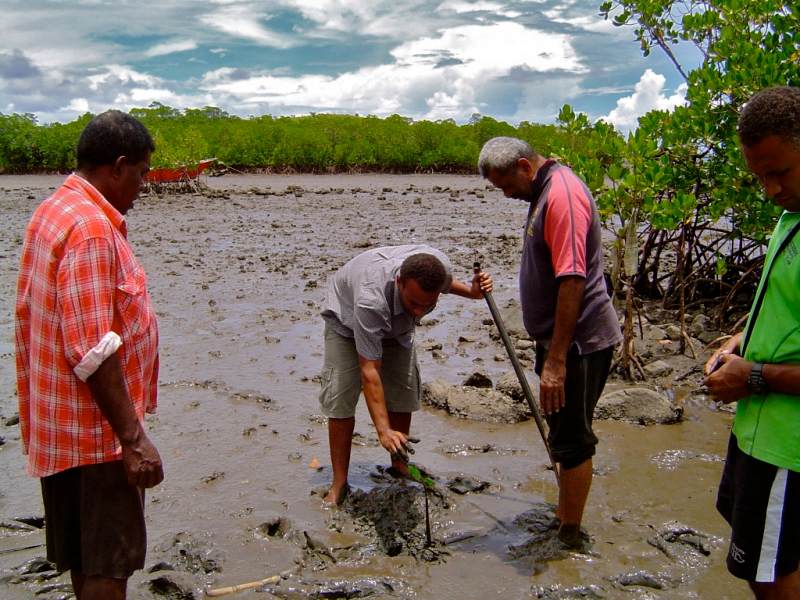 Vatutavui Village - Mangroves for Fiji