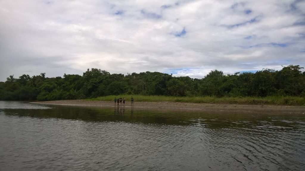 Navua River | Mangroves for Fiji